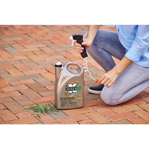 Roundup extended control store
