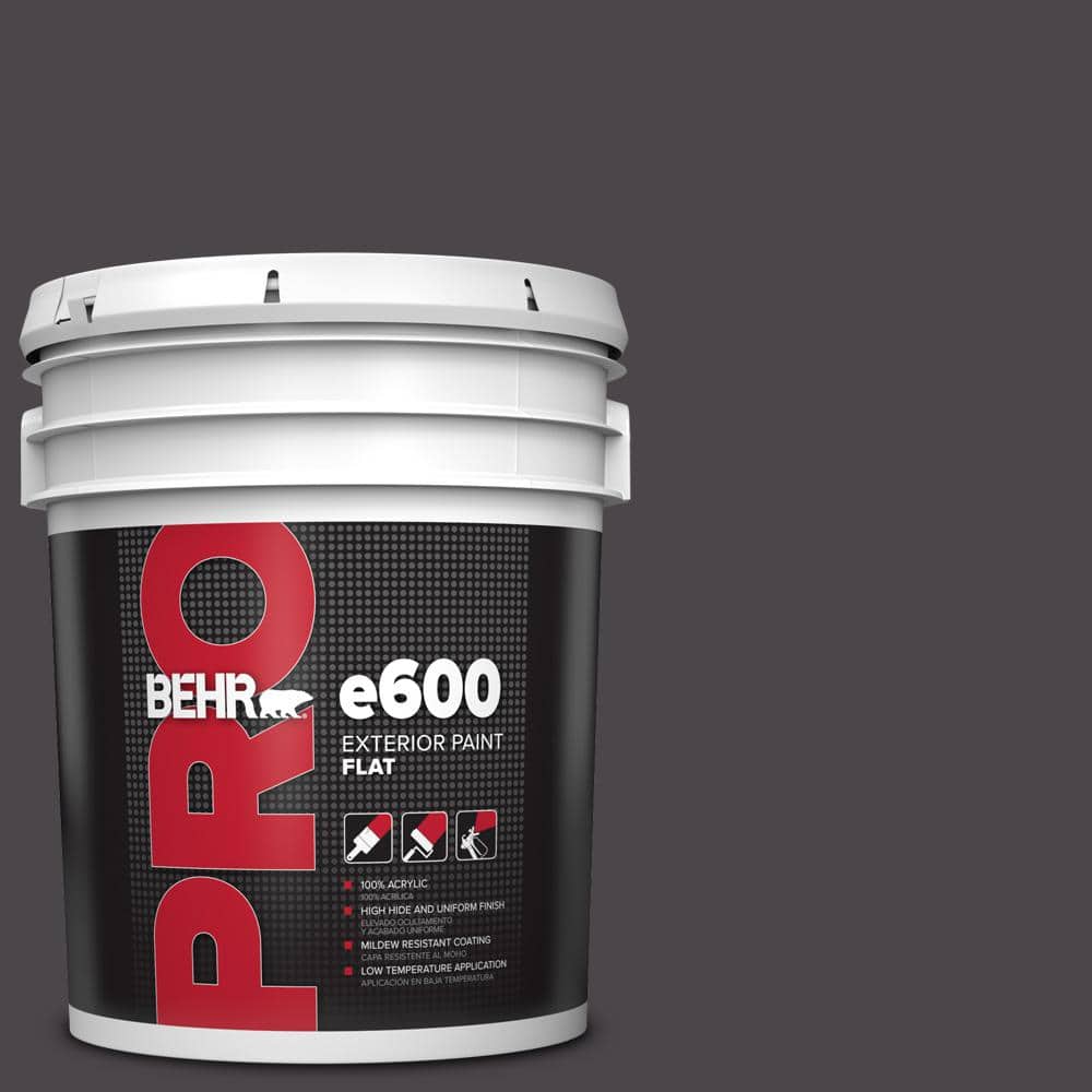 BEHR PRO 5 gal. #N550-7 Catwalk Flat Exterior Paint PR61305 - The Home ...