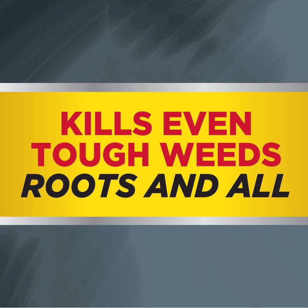 Herbicides All-In-One Lawn Weed Killer Concentrate | Ubuy Botswana