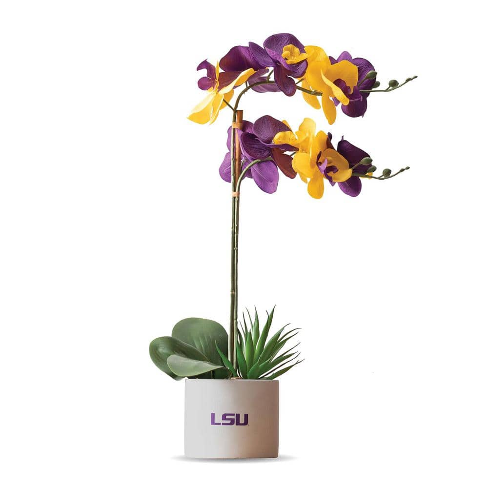 FOREVER LEAF 20 in. LSU Artificial Orchid Plant - Gifts for Women, LSU ...