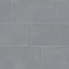 Daltile Cohesion Grey 12 in. x 24 in. Color Body Porcelain Floor and ...
