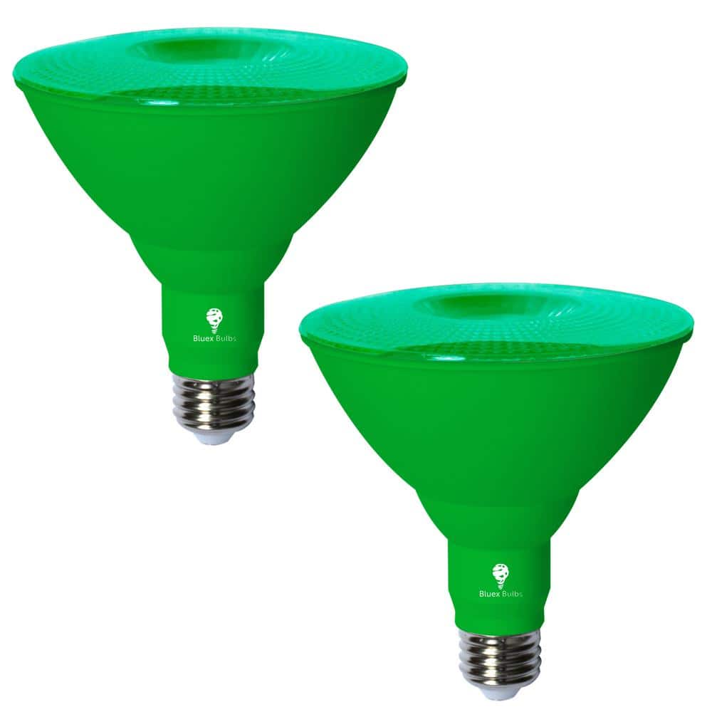 BLUEX BULBS 120-Watt Equivalent PAR38 Decorative LED Light Bulb in Green (2-Pack) GREEN-PAR38 ...