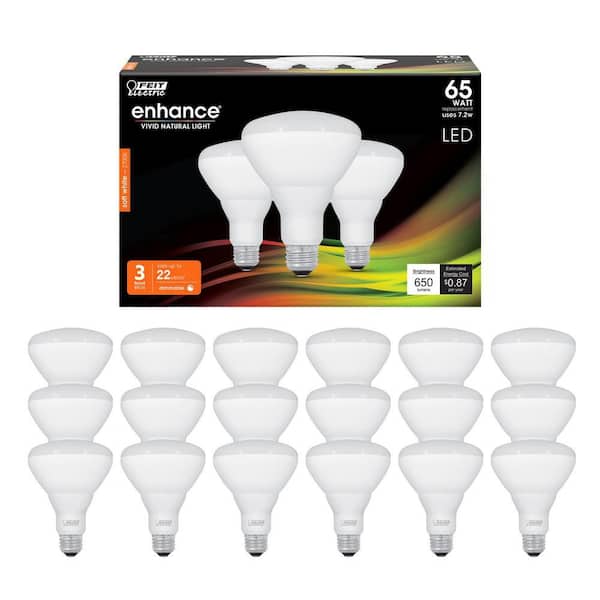 Feit Electric - BR30 - LED Light Bulbs - The Home Depot