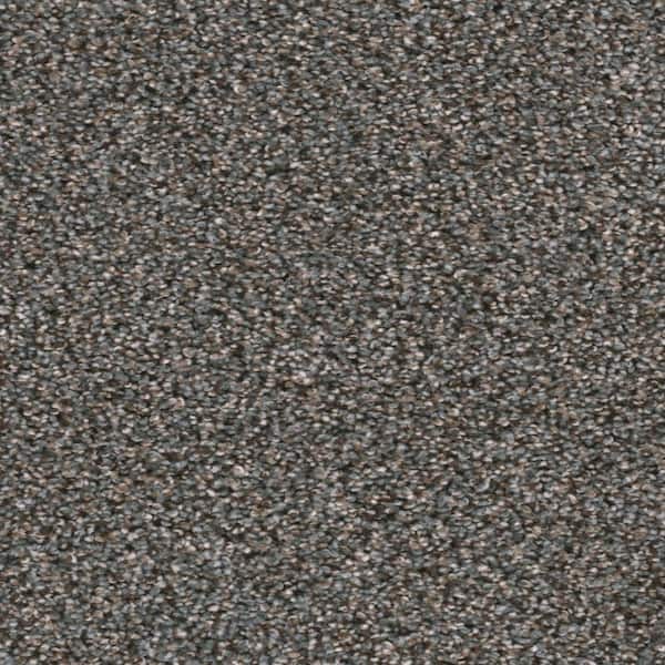 Home Decorators Collection 8 in. x 8 in. Texture Carpet Sample ...