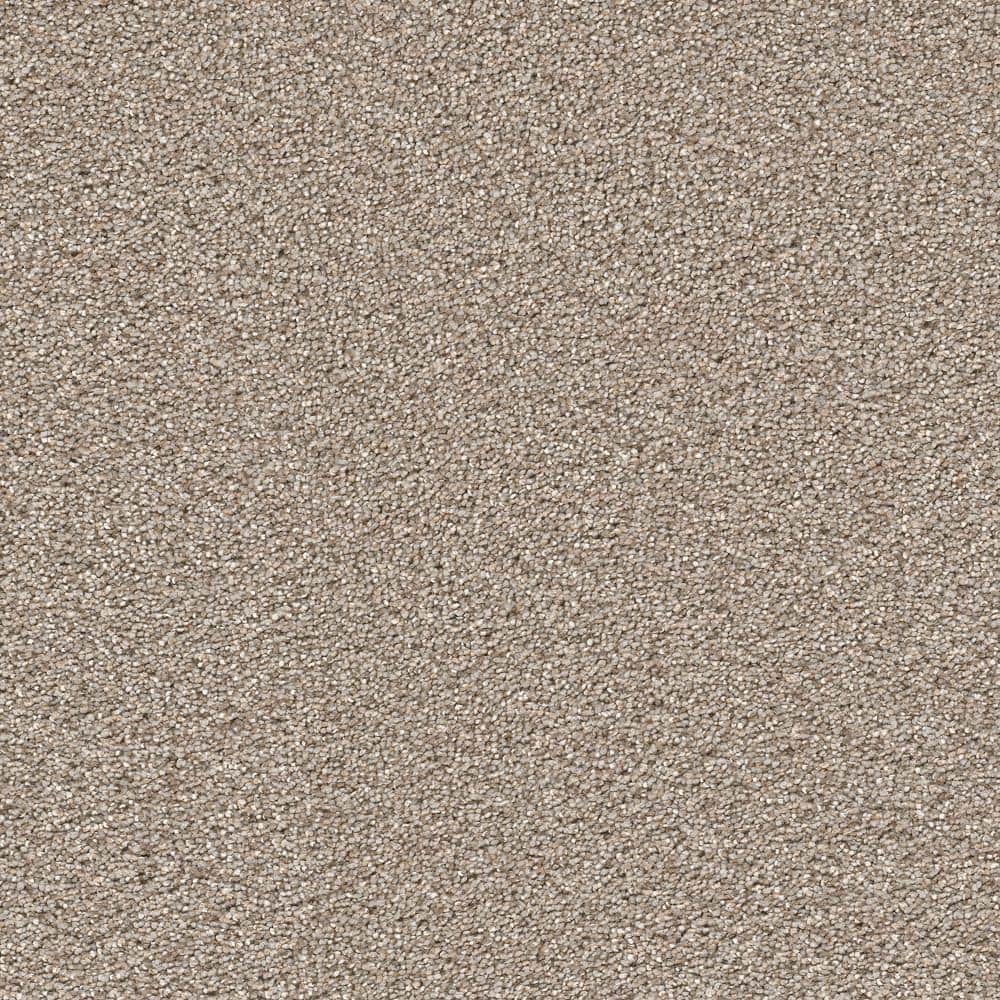 Home Decorators Collection 8 in. x 8 in. Texture Carpet Sample ...