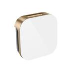 Mr. Steam AromaSteam 3 in. Steam Head with Aroma Oil-Well in Polished ...