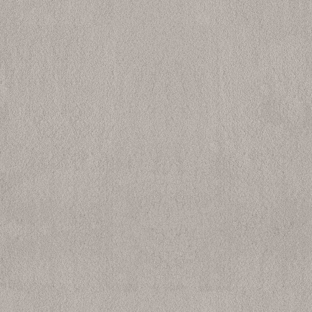 Lifeproof Dreamy Daze I Skye Beige 56 oz. Nylon Texture Installed Carpet HDF8990123 - The Home Depot