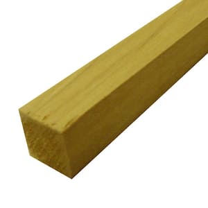 Swaner Hardwood Hardwood Squares (Common: 3/4 in. x 1 ft.; Actual: 0.75 ...