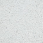 Armstrong CEILINGS Random Textured 2 ft. x 2 ft. Tegular Ceiling Tile ...