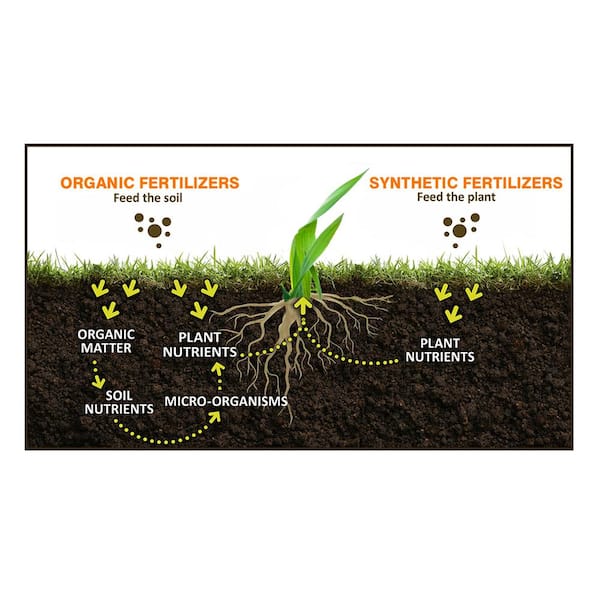 Milorganite 32 lb. 2 500 sq. ft. Organic Slow Release Nitrogen Lawn and Garden Dry Lawn Fertilizer 6 4 0 100539618 The Home Depot