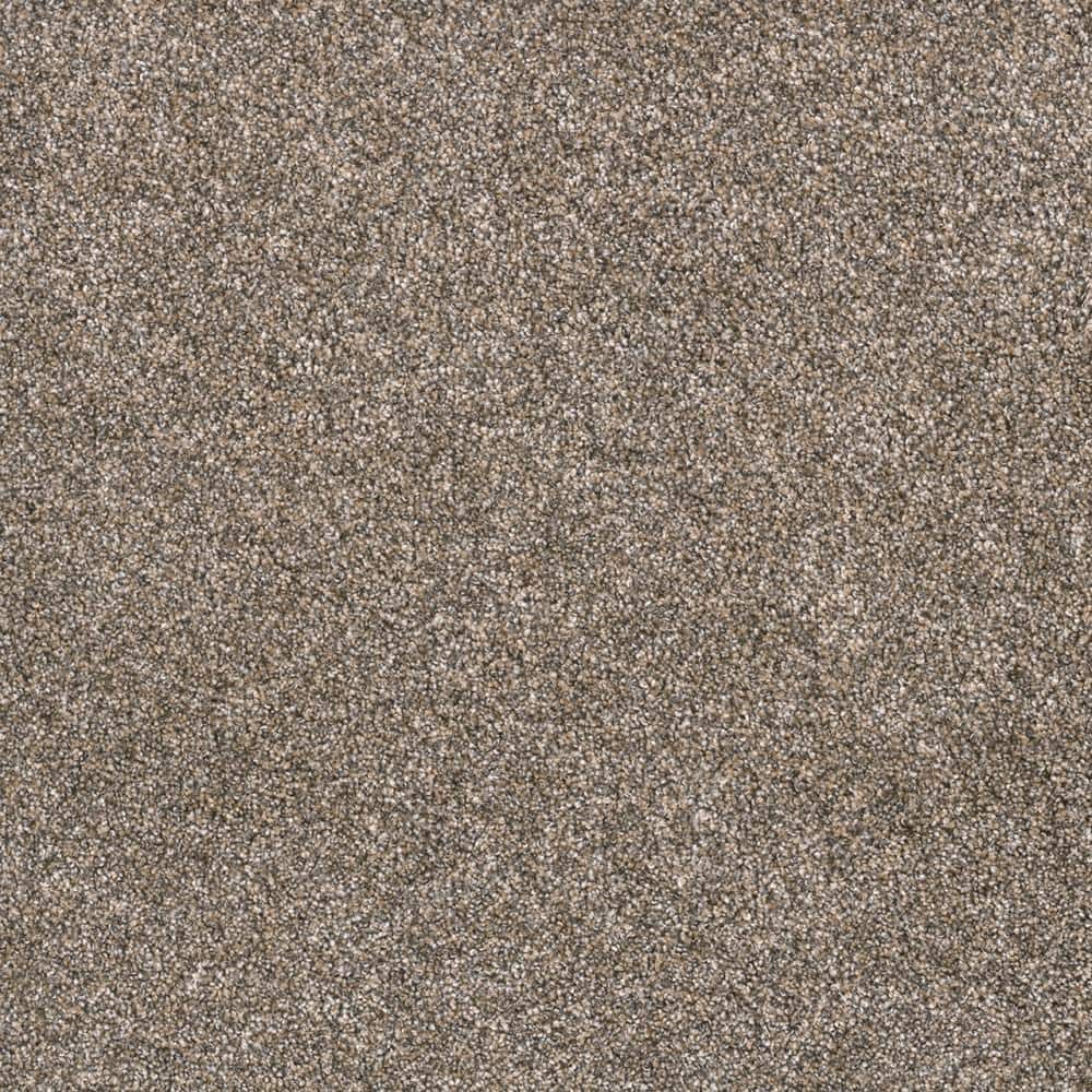 Lifeproof 8 in. x 8 in. Texture Carpet Sample - Hazelton I - Color ...