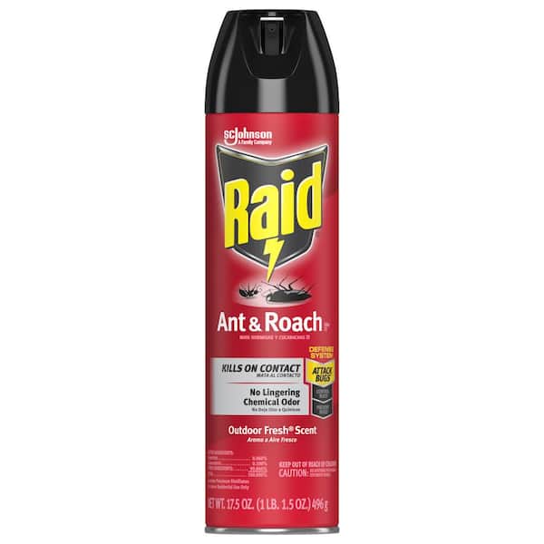 Reviews for Raid 17.5 oz. Ready-to-Use Ant and Roach Insect Killer ...