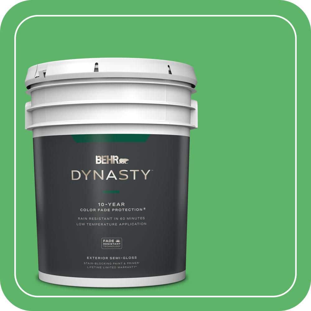 Lawn Paint Home Depot