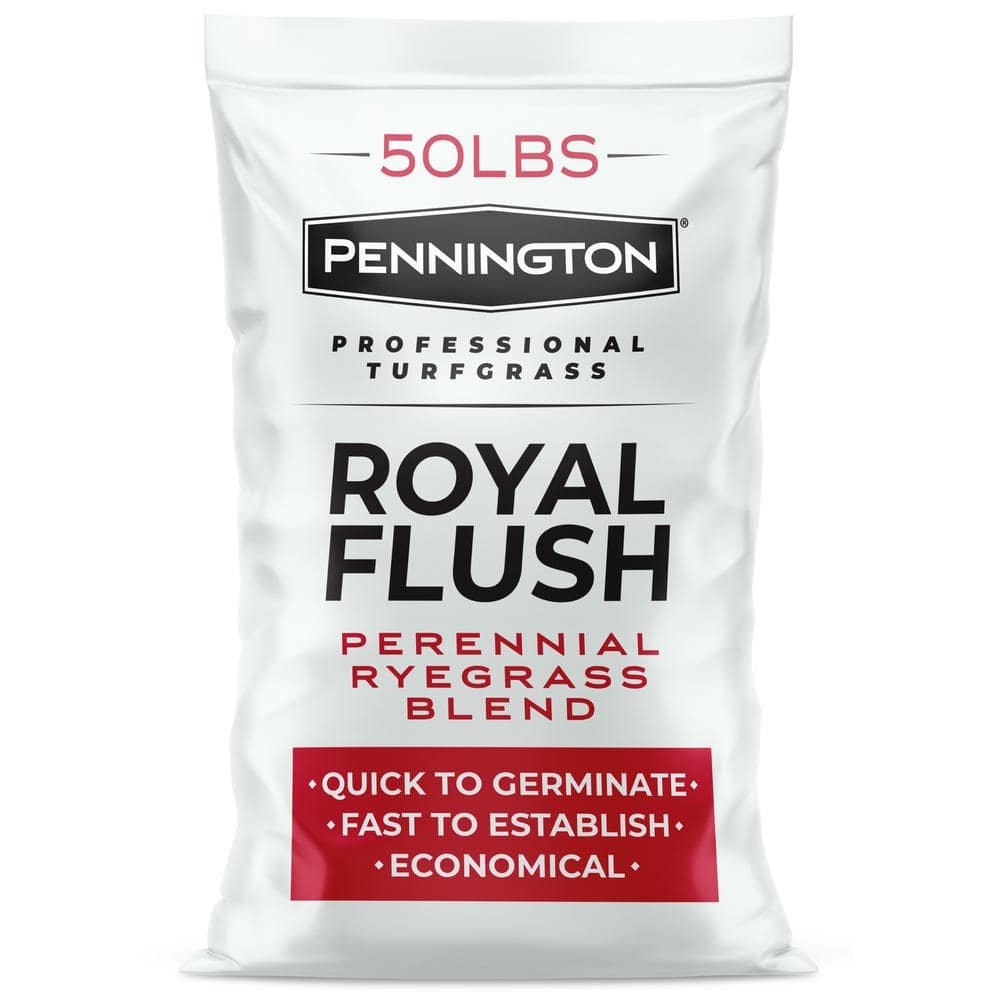 Pennington Royal Flush Overseeding Perennial Ryegrass Blend 50 lbs ...