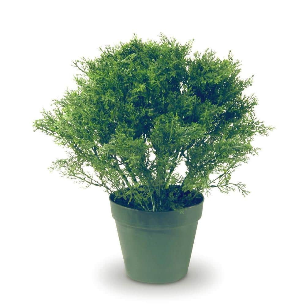 National Tree Company 24 in. Artificial Globe Juniper Tree LCB-24 - The ...