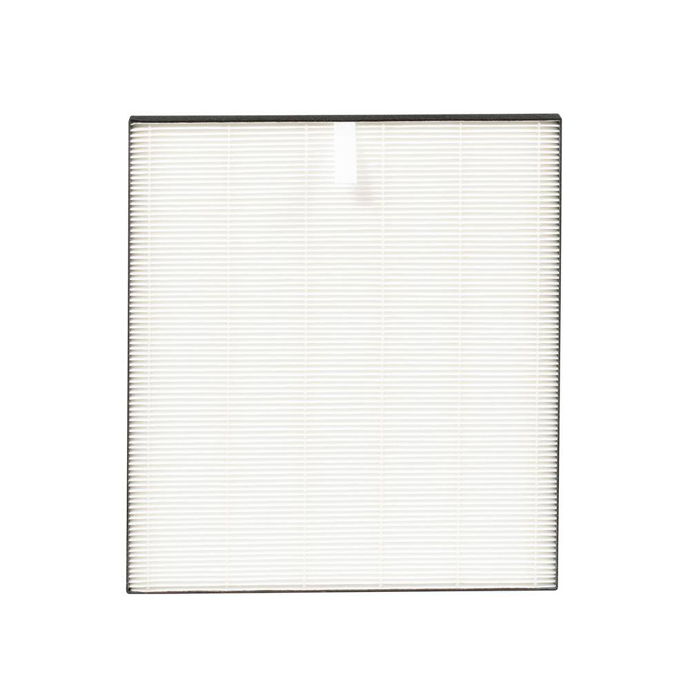 Sharp HEPA Replacement Filter for FPF30UH FZF30HFU - The Home Depot