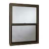 TAFCO WINDOWS 36 in. x 60 in. Double-Pane Double Hung Aluminum Window ...