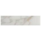 Ivy Hill Tile Bianco Dolomite White 6 in. x 0.38 in. Honed Marble Floor ...