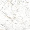 Florida Tile Home Collection Picasso White Matte 24 in. x 48 in ...