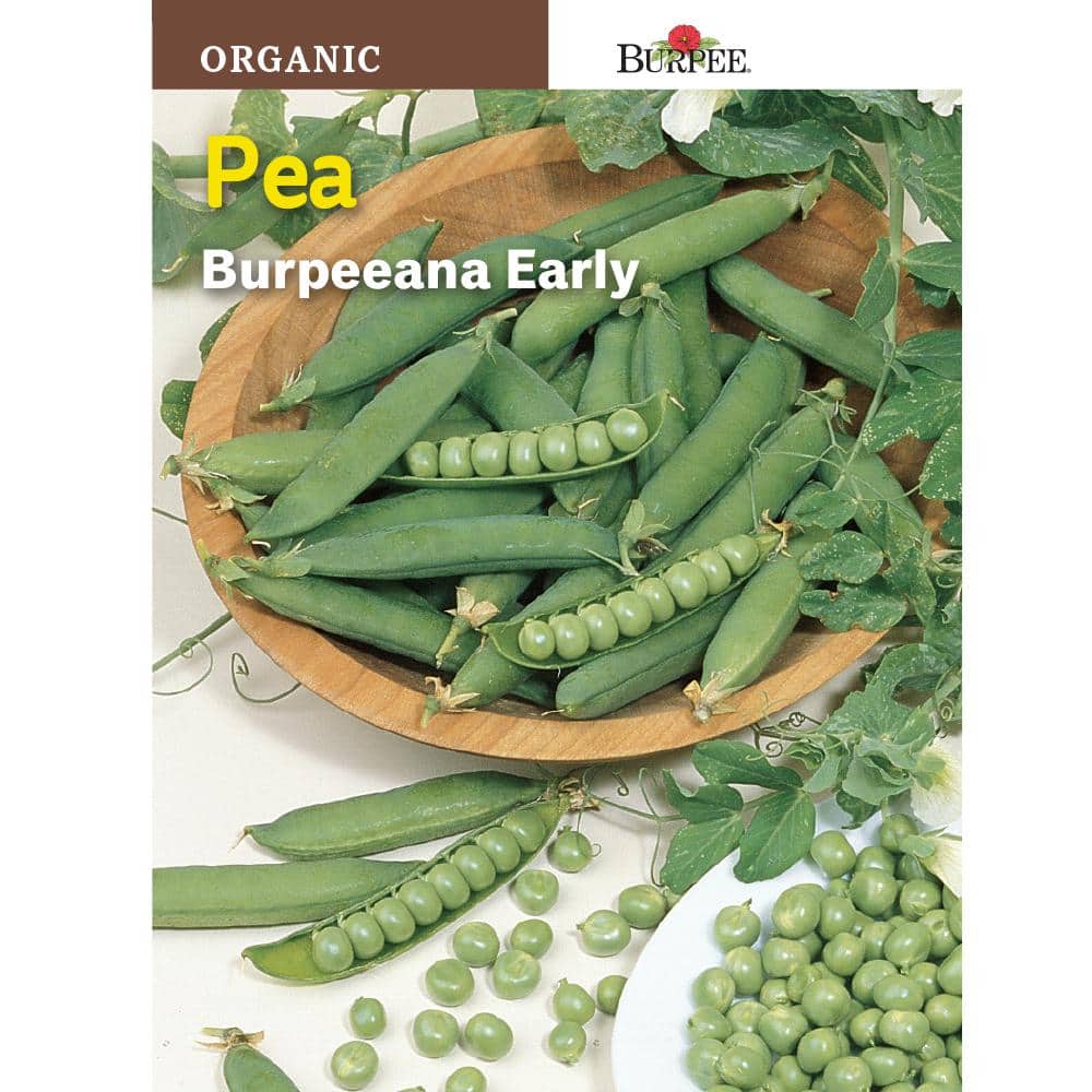 Burpee Pea Burpeeana Early Organic Seed 66984 - The Home Depot
