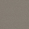 Home Decorators Collection 8 in. x 8 in. Texture Carpet Sample - Trendy ...