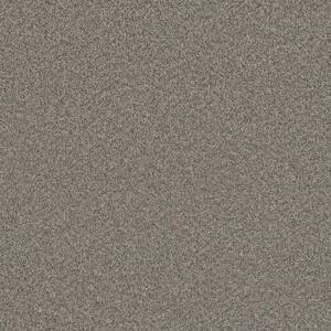 Home Decorators Collection 8 in. x 8 in. Texture Carpet Sample - Trendy ...