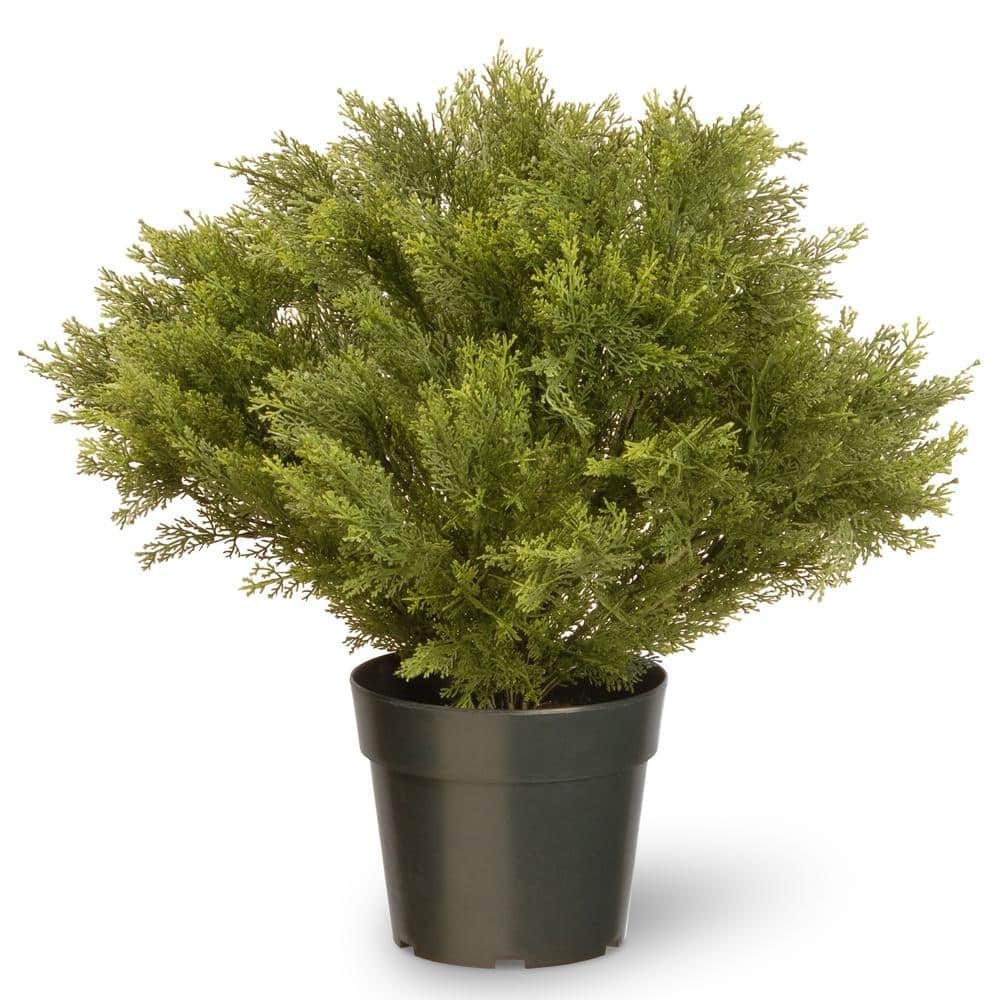 National Tree Company 28" Artificial Globe Juniper Tree with Dark Green ...
