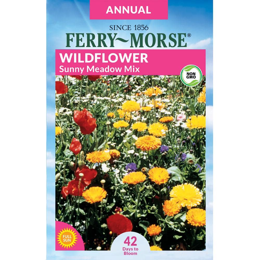 Ferry-Morse Economy Wildflower Sunny Meadow Mixture Flower Seeds 2188 ...