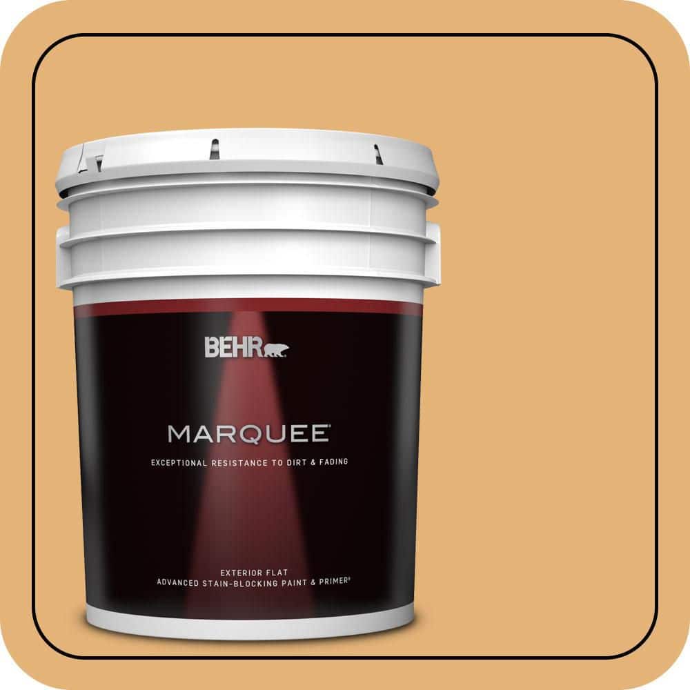 BEHR MARQUEE 5 gal. #300D-4 High Plateau Flat Exterior Paint & Primer ...