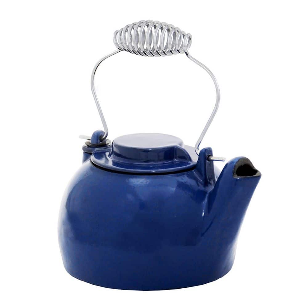 ACHLA DESIGNS Enameled Humidifying Cast Iron Kettle, 9.25 in. Tall ...