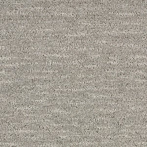 Lifeproof with Petproof Technology 8 in. x 8 in. Pattern Carpet Sample ...