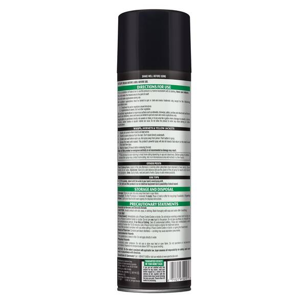 Spectracide 18.5 oz. Wasp and Hornet Killer Aerosol Spray (Insect ...