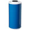 Pentek GAC-BB 9.75 in. x 4-1/2 in. Drinking Water Filter PENTEK-GAC-BB ...