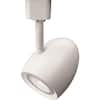 Lithonia Lighting Ostrich Egg 1-Light White LED Track Lighting Head ...