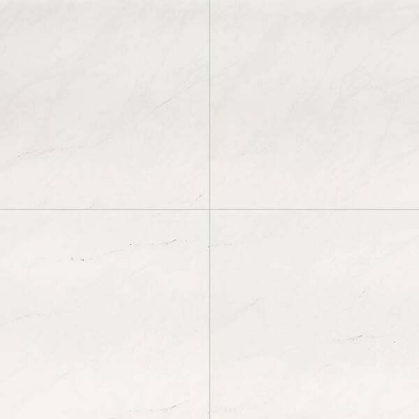 Reviews for MSI Alvara Ice 23.75 in. x 23.75 in. Polished Porcelain ...