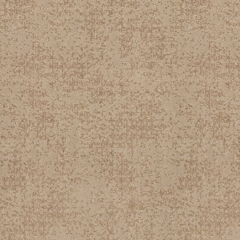 Shaw Elegant Dosinia - Ecru Lace - Brown 48.8 oz. Nylon Pattern Carpet ...