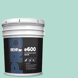 BEHR PRO 5 gal. #490C-3 Balmy Seas Low Luster Exterior Paint PR62005 ...