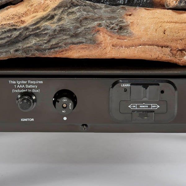 Duluth Forge Dual Fuel Ventless Gas Stove - Model FDSR25, Matte Finish ...