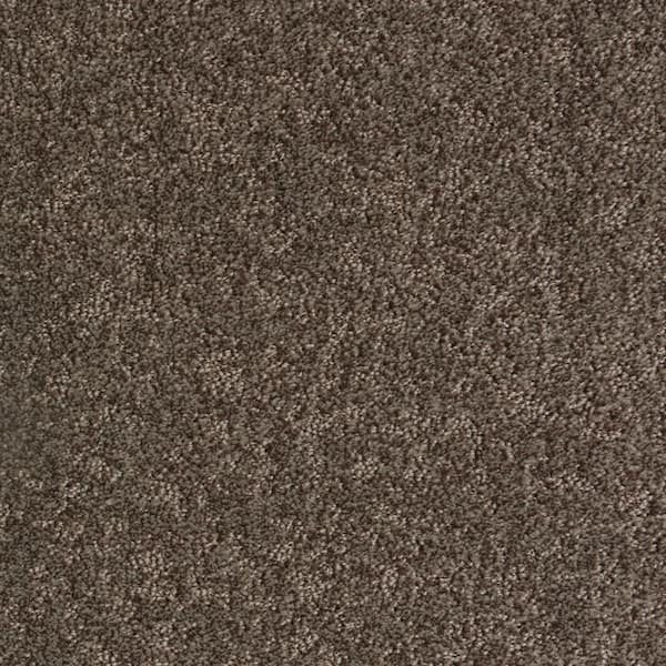 Lifeproof with Petproof Technology 8 in. x 8 in. Pattern Carpet Sample ...