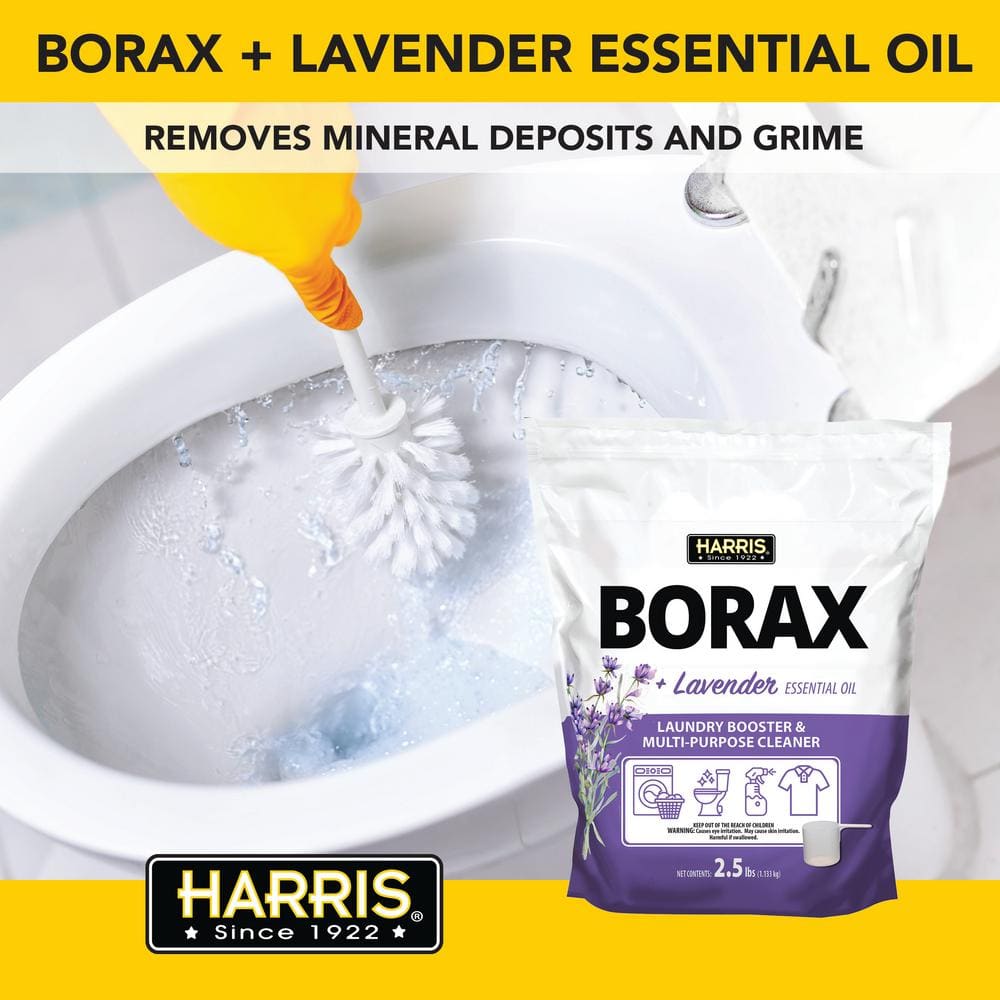 Buy 2.5 lbs. Borax Laundry Booster and Multi-Purpose Cleaner with ...
