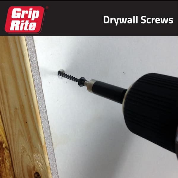 6 x 2 in. Phillips Bugle Head Drywall Screws 1 lb Box and 2 1/16 in. x ...