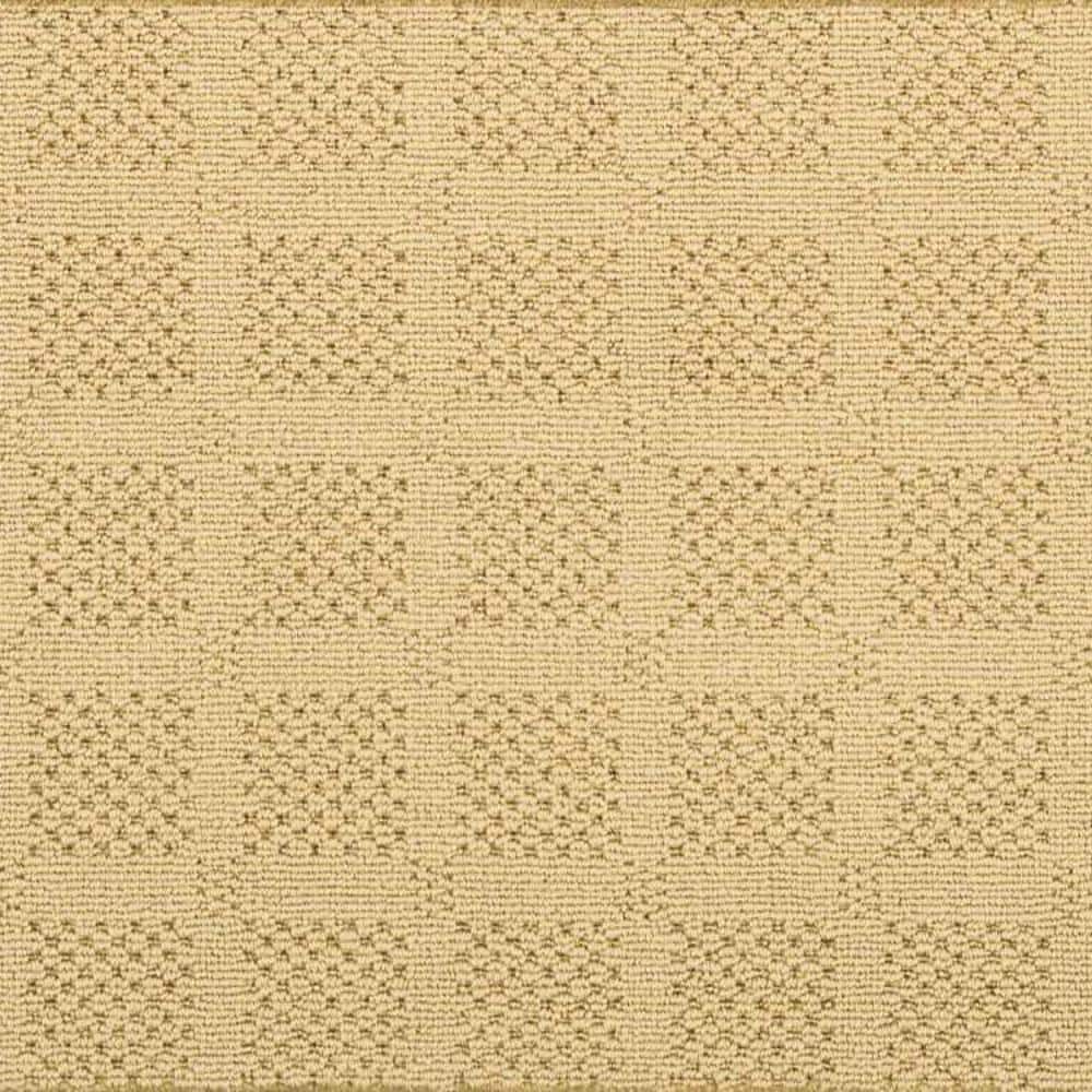 Lifeproof Carpet Sample- Desert Springs - Color Straw Pattern 8 in. x 8 ...