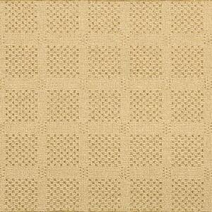 Lifeproof Carpet Sample- Desert Springs - Color Quarry Pattern 8 in. x ...