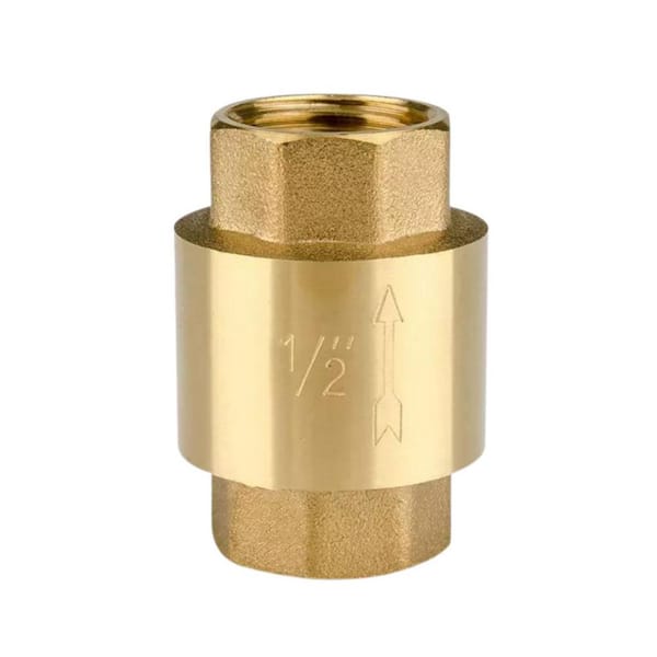 Sedco 1/2 in. FIP Lead-Free Brass Spring Check Valve AS-7205 - The Home Depot