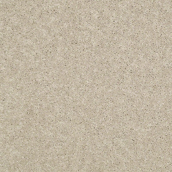 TrafficMaster 8 in. x 8 in. Texture Carpet Sample - Watercolors I ...