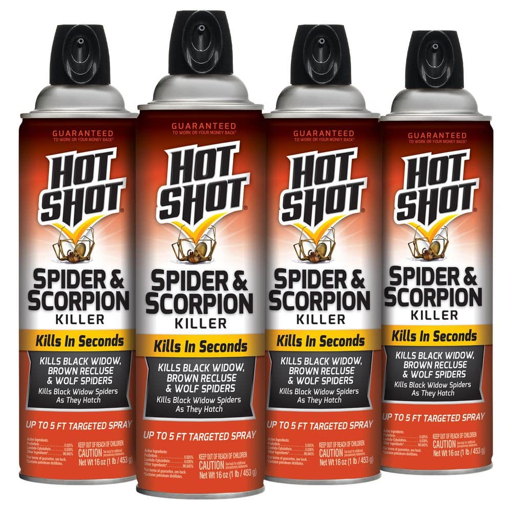 Reviews for Hot Shot 16 oz. Spider and Scorpion Insect Killer Aerosol ...