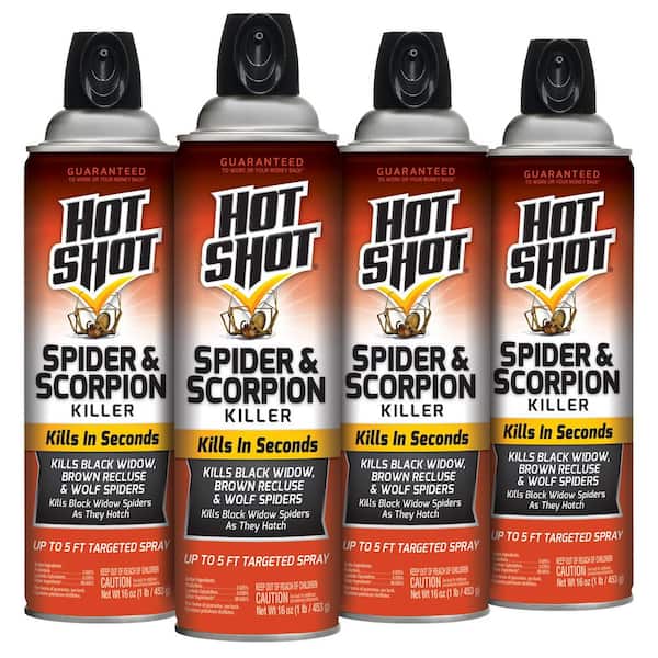 Reviews for Hot Shot 16 oz. Spider and Scorpion Insect Killer Aerosol ...