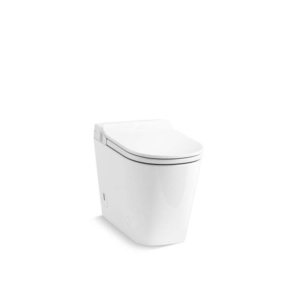 Extra Tall - Bidet Toilets - The Home Depot