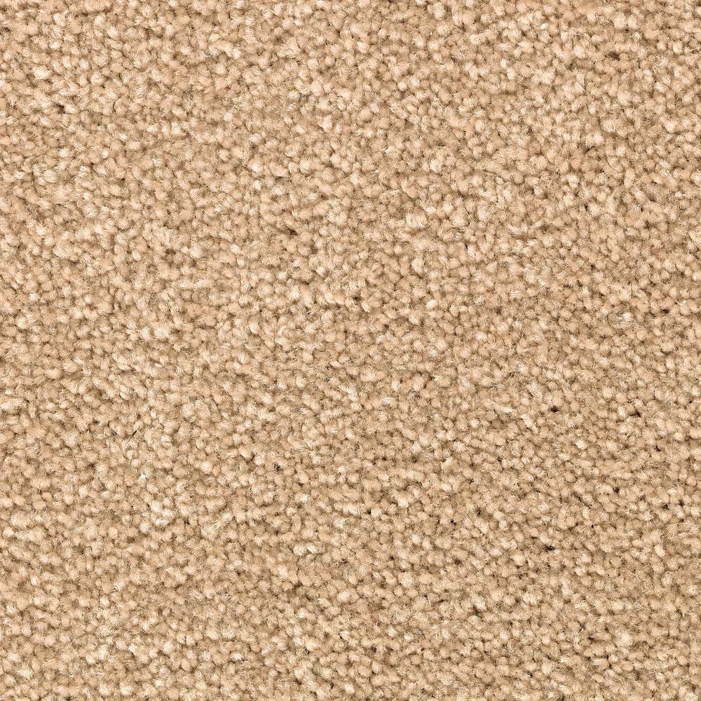 Lifeproof 8 in. x 8 in. Texture Carpet Sample - Unblemished II -Color ...