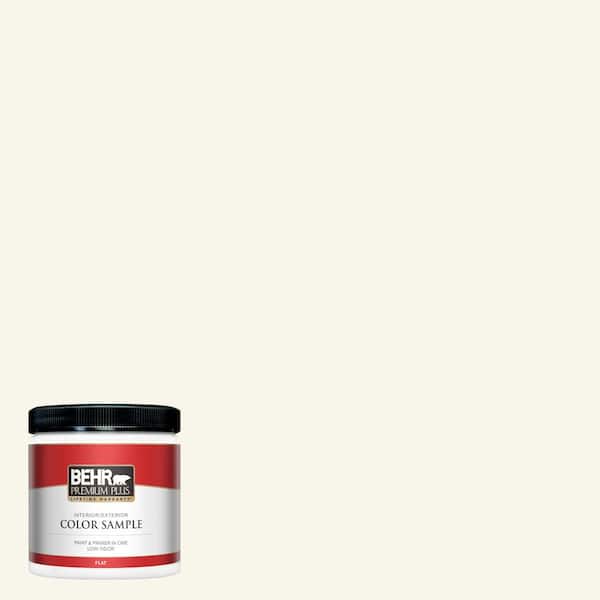 BEHR PREMIUM PLUS 8 oz. #PWN-30 Clear Moon Flat Interior/Exterior Paint ...